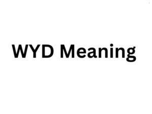 WYD Meaning: What It Signals in Chat and Common Replies