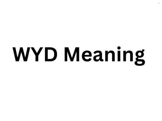 WYD Meaning: What It Signals in Chat and Common Replies